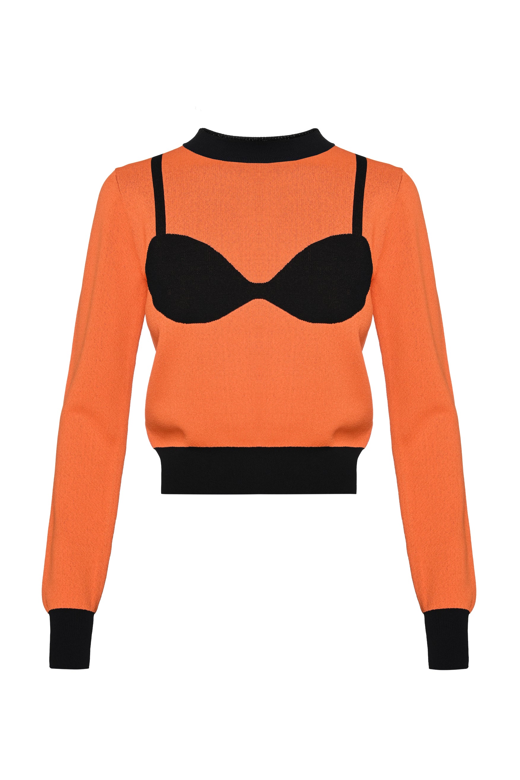 Wool Visible Bra Turtleneck Sweater – TATA LA